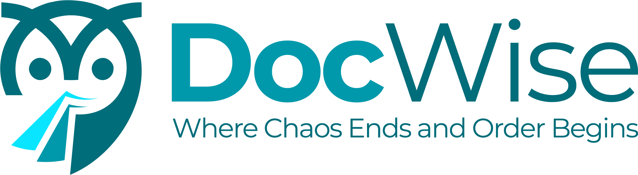 Archive Automization With Our Digital Solutions » DocWise